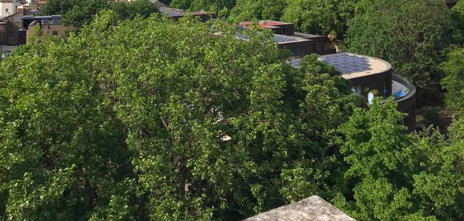 Building Ways — Hackney Village